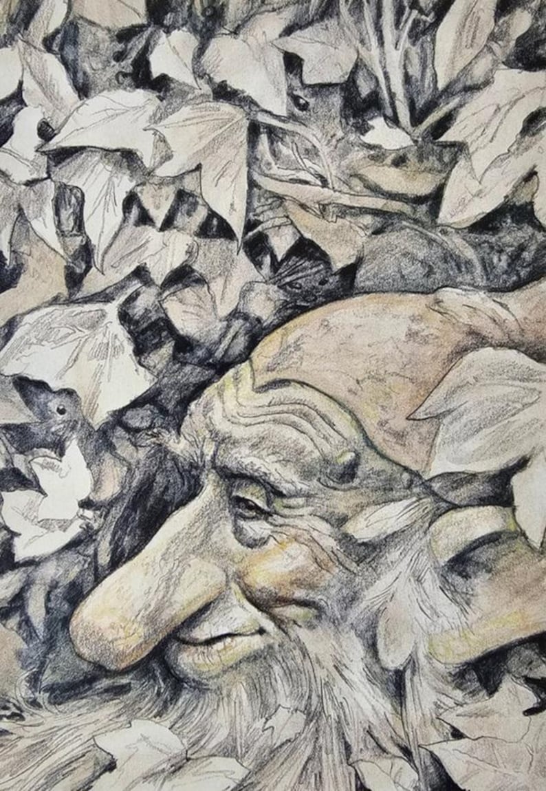 Brian Froud, Faeries, Fairy, Faries, Fantasy Art, 2000 Vintage Book ...