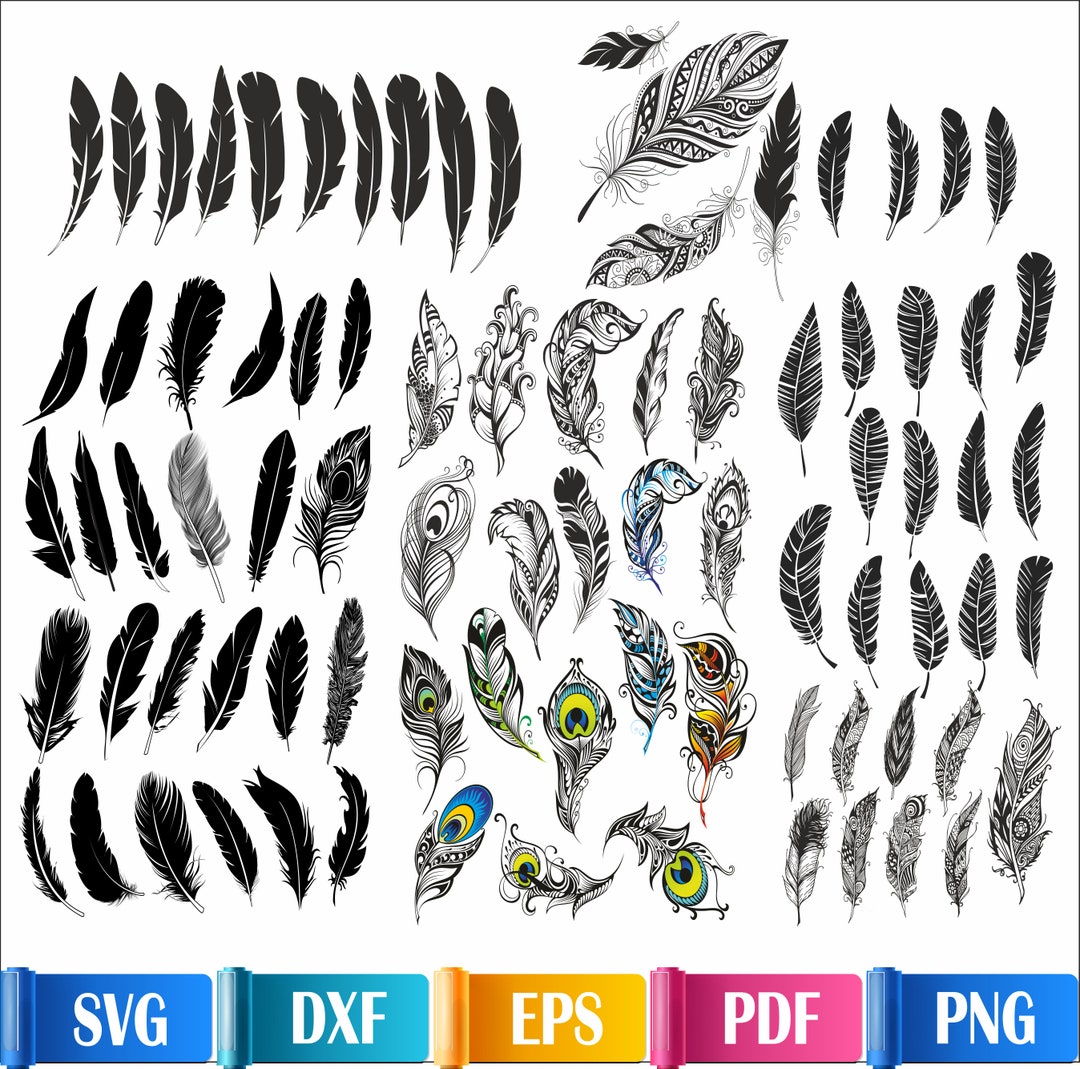 Feather Svg Bundle, Feather Birds Svg, Feathers Silhouette, Dxf, Png ...