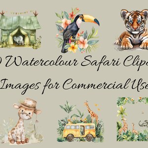 70 Safari Jungle Images, Watercolour Clipart, Commercial Use ...