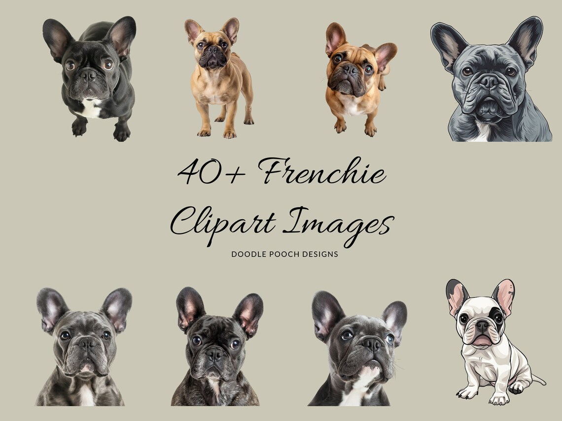 Frenchie Clipart 40 French Bulldog Images Dog Breed Clipart 300dpi ...