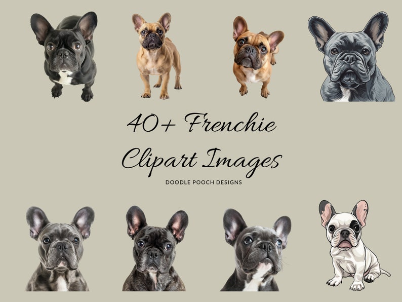 Frenchie Clipart 40 French Bulldog Images Dog Breed Clipart 300dpi ...