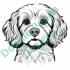 Cavapoo SVG File SVG for Commercial Use Cavoodle SVG Download Dog Svg ...