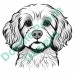 Cavapoo SVG File SVG for Commercial Use Cavoodle SVG Download Dog Svg ...