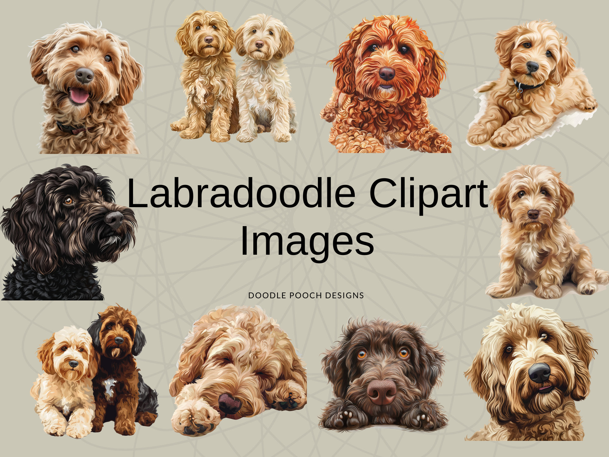Labradoodle Clipart Labradoodle Images Dog Breed Clipart 300dpi Clipart ...
