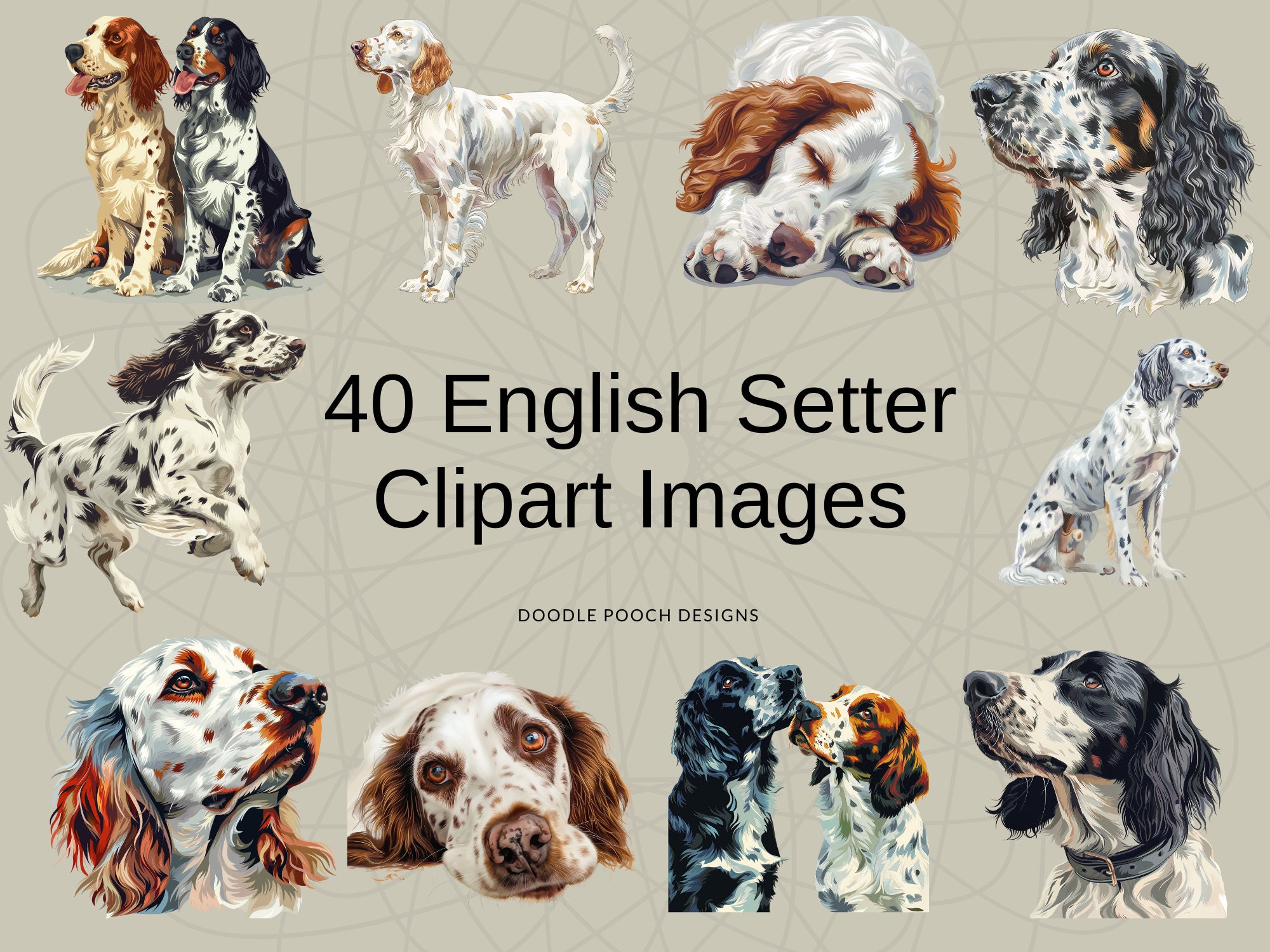 English Setter Clipart English Setter Images Dog Breed Clipart 300dpi ...