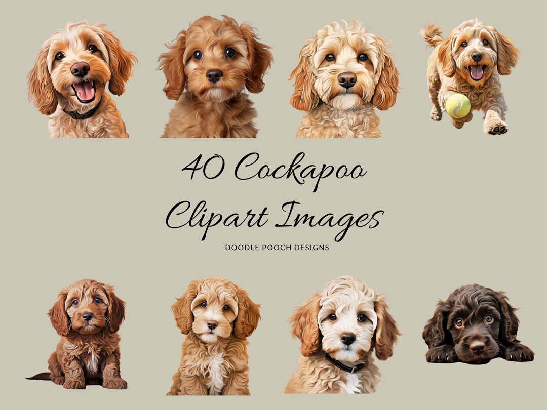 Cockapoo Clipart, Dog Breed Clipart, Watercolour Clip Art, Commercial ...