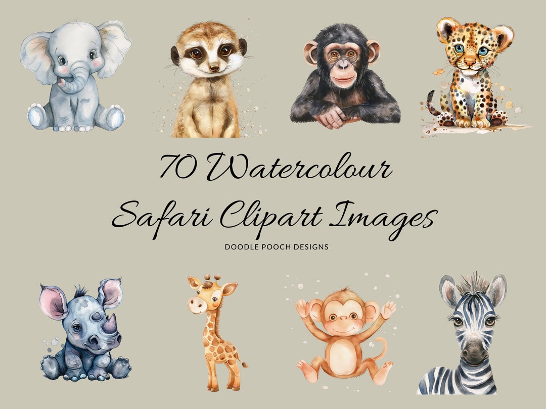 70 Safari Jungle Images, Watercolour Clipart, Commercial Use ...