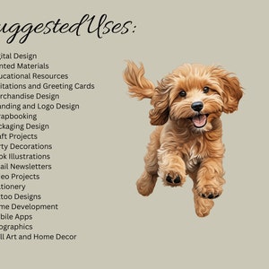 Cavapoo Clipart, Dog Breed Clipart, Watercolour Clip Art, Commercial ...