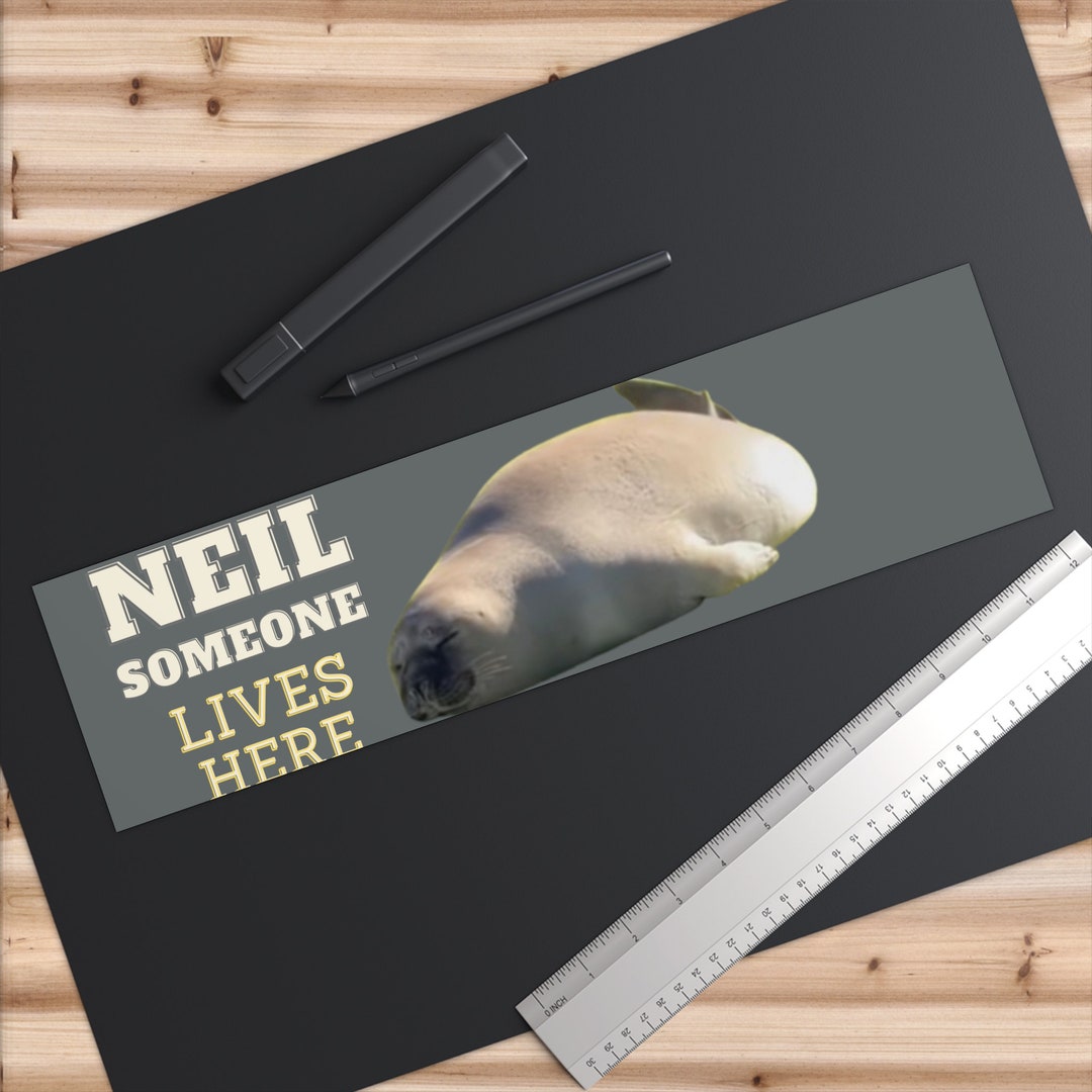 Neil the Seal Bumper Stickers - Etsy