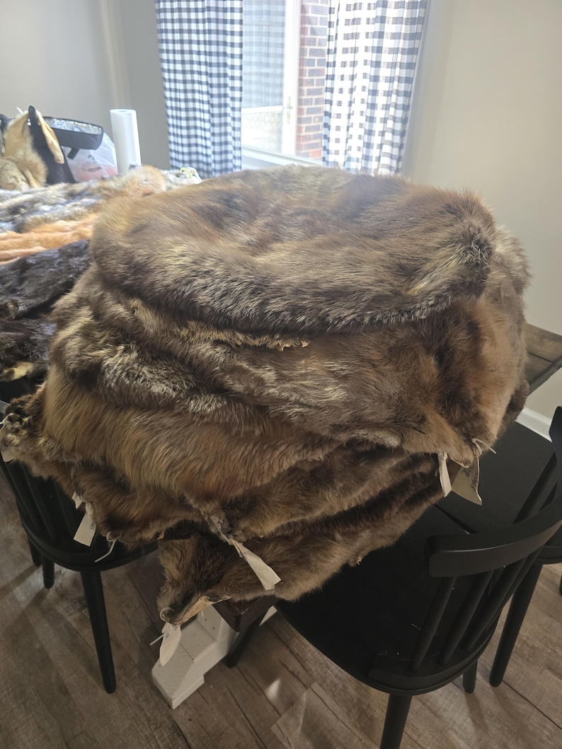 Garment Tanned Fur (beaver,otter,racoon,bobcat,fox, Coyote) - Etsy