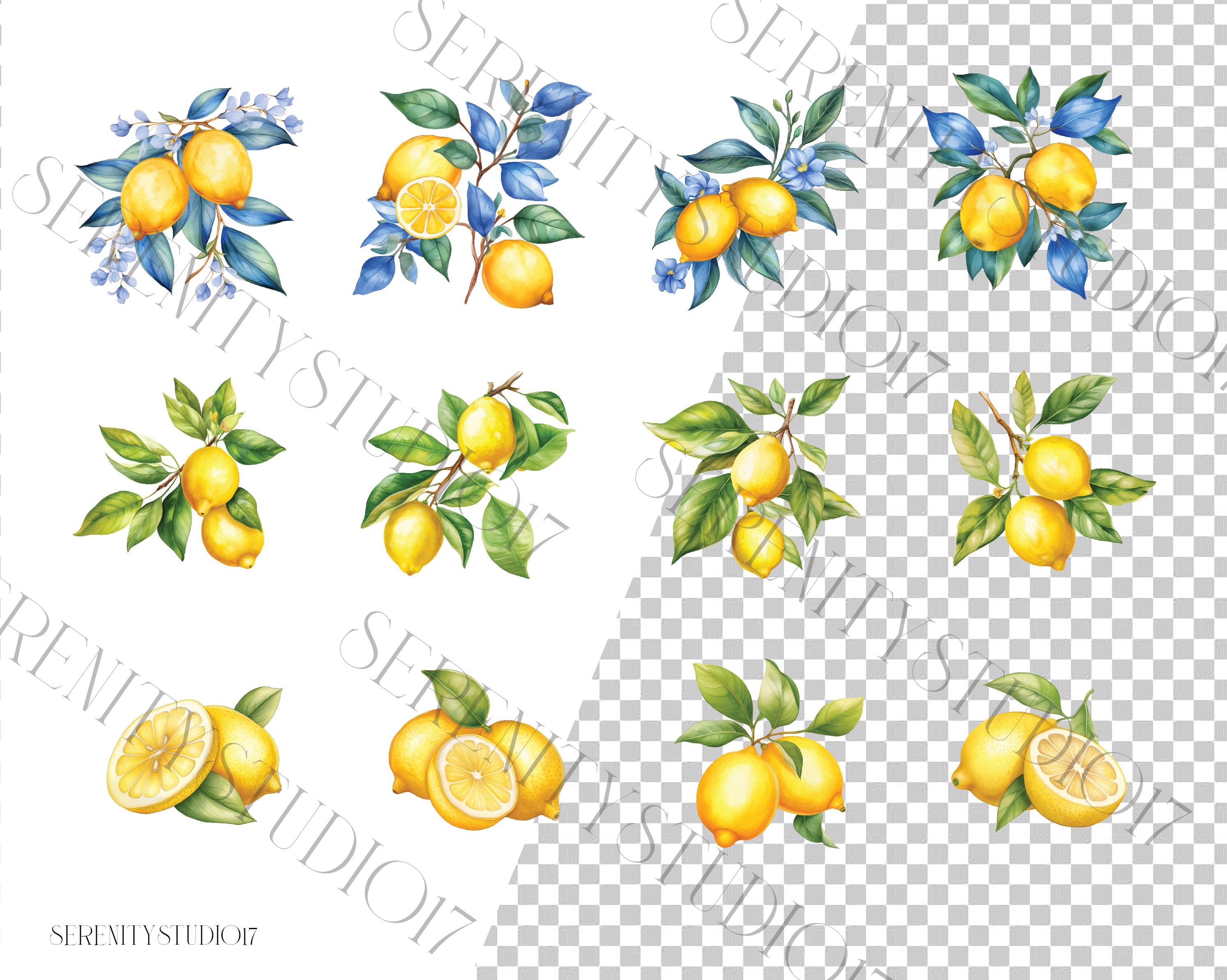 Lemon Mediterranean Watercolor Clip Arts | Citrus Elements and Seamless ...