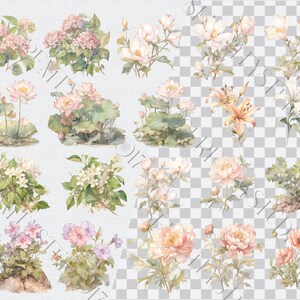 Wild Floral Watercolor Clip Arts | Flowers, Leaves, and Botanicals ...
