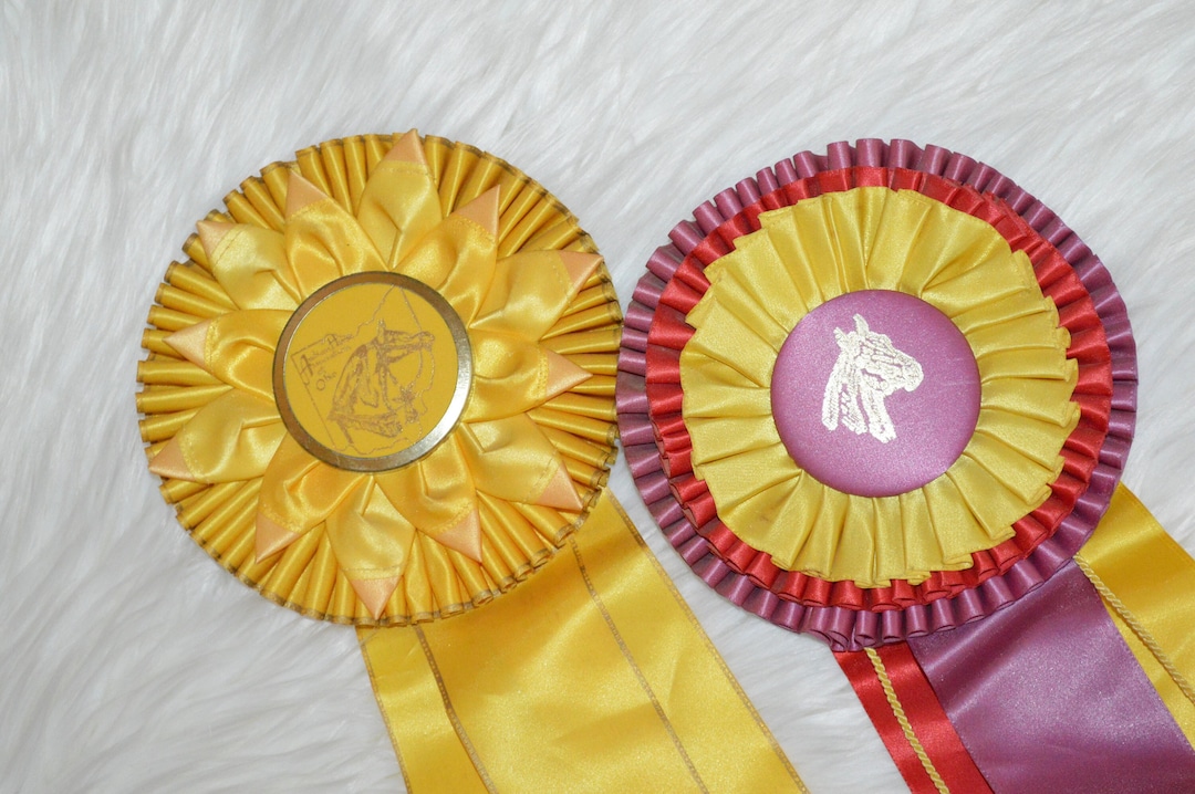 Vintage Prize Ribbons, Large 1980's Horse Ribbons in Gold, Red and ...