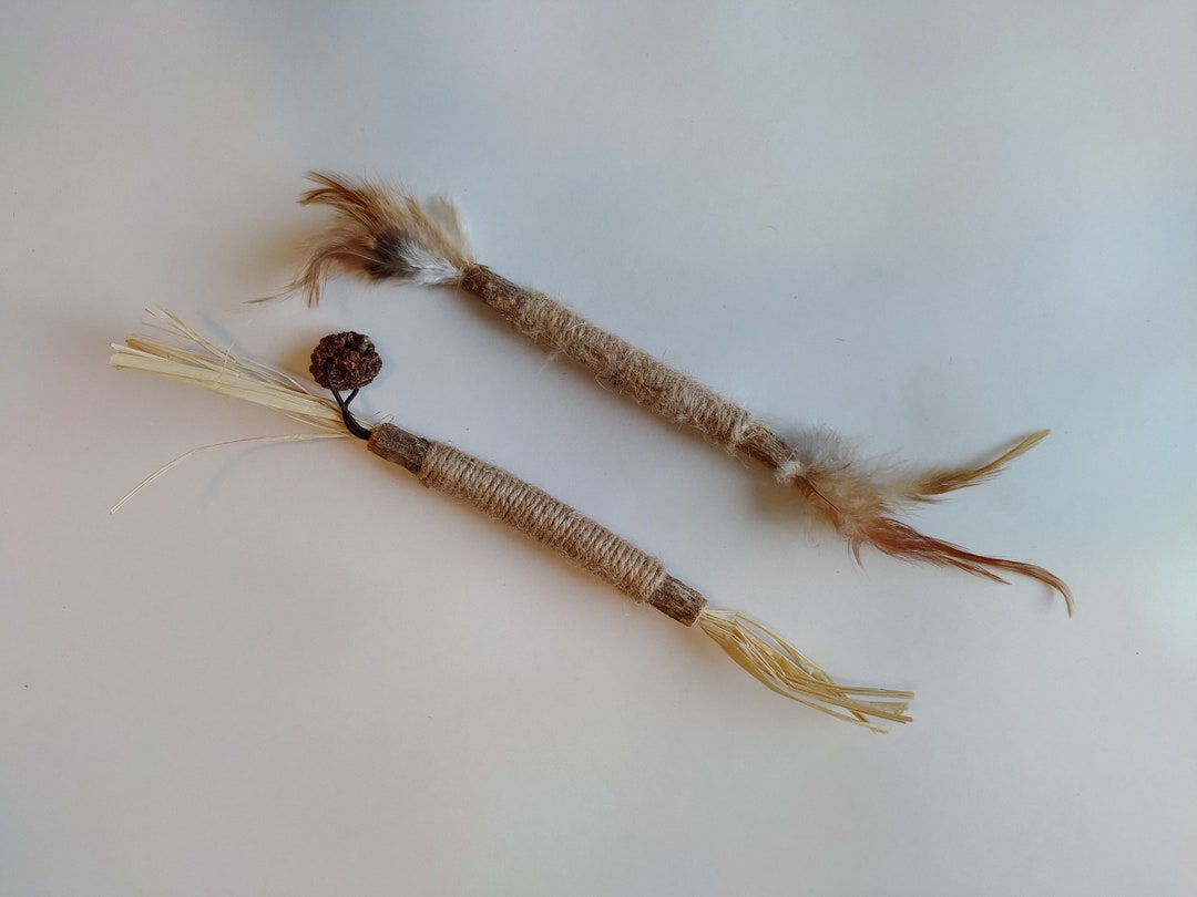 Silvervine Sticks With Raffia and Feathers Cat Toy - Etsy