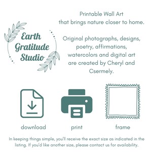 Set of 24 Earth Gratitude Journals | Huge Bundle | Journal Prompts ...