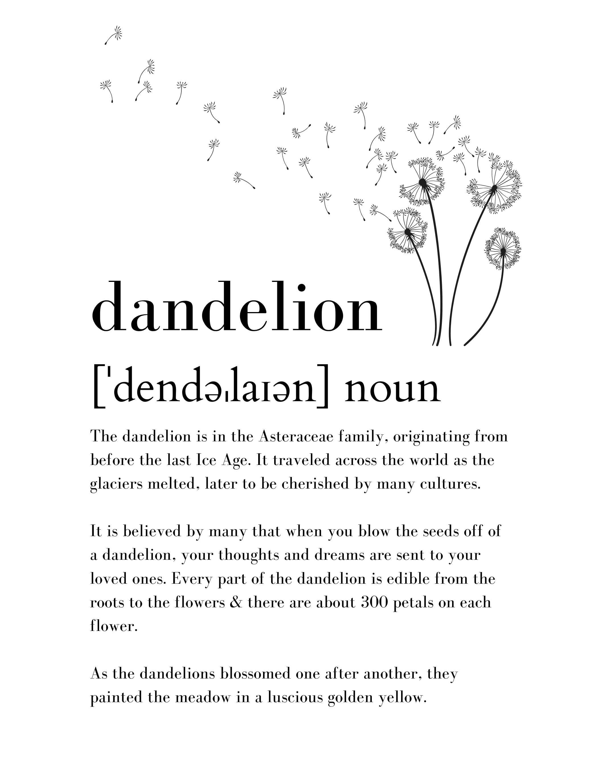Dandelion Definition Print Spring Flower Dictionary Quote Digital Wall ...