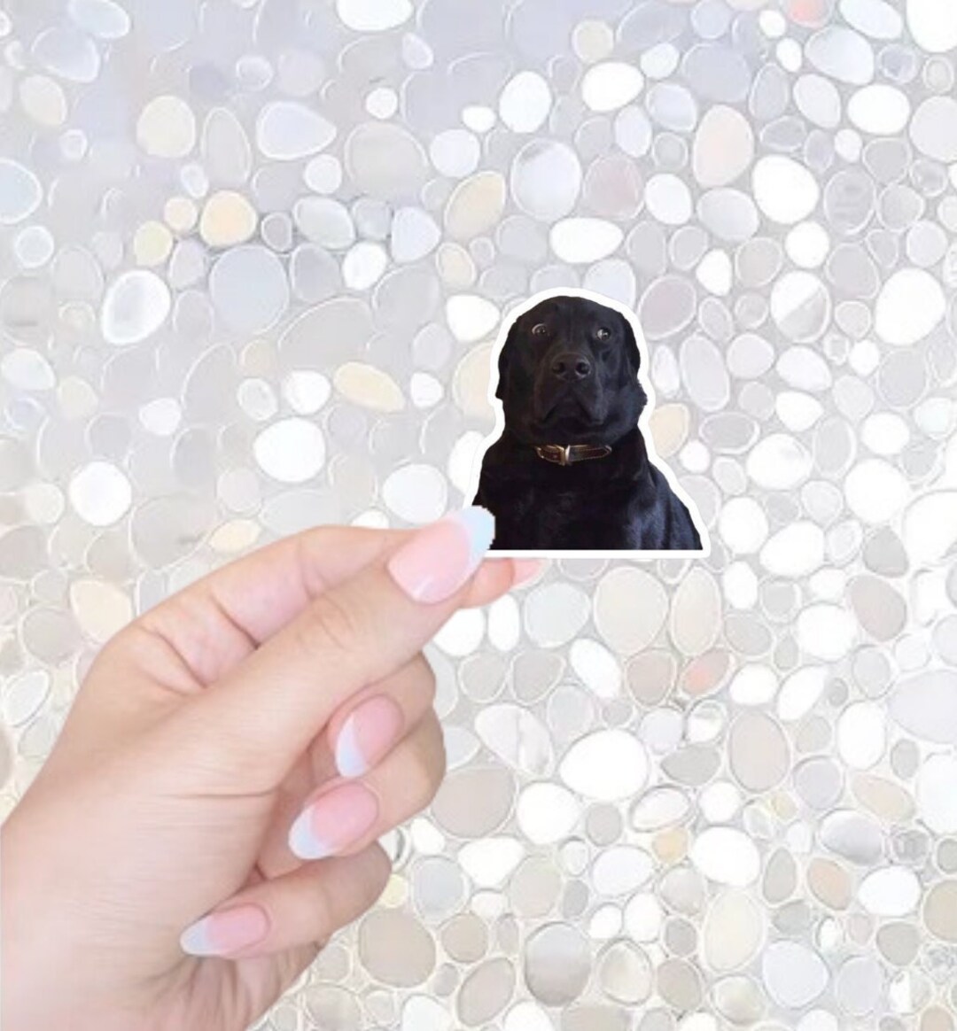 Free Shipping Black Lab Meme Sticker for Kindle, Waterbottle, Laptop ...