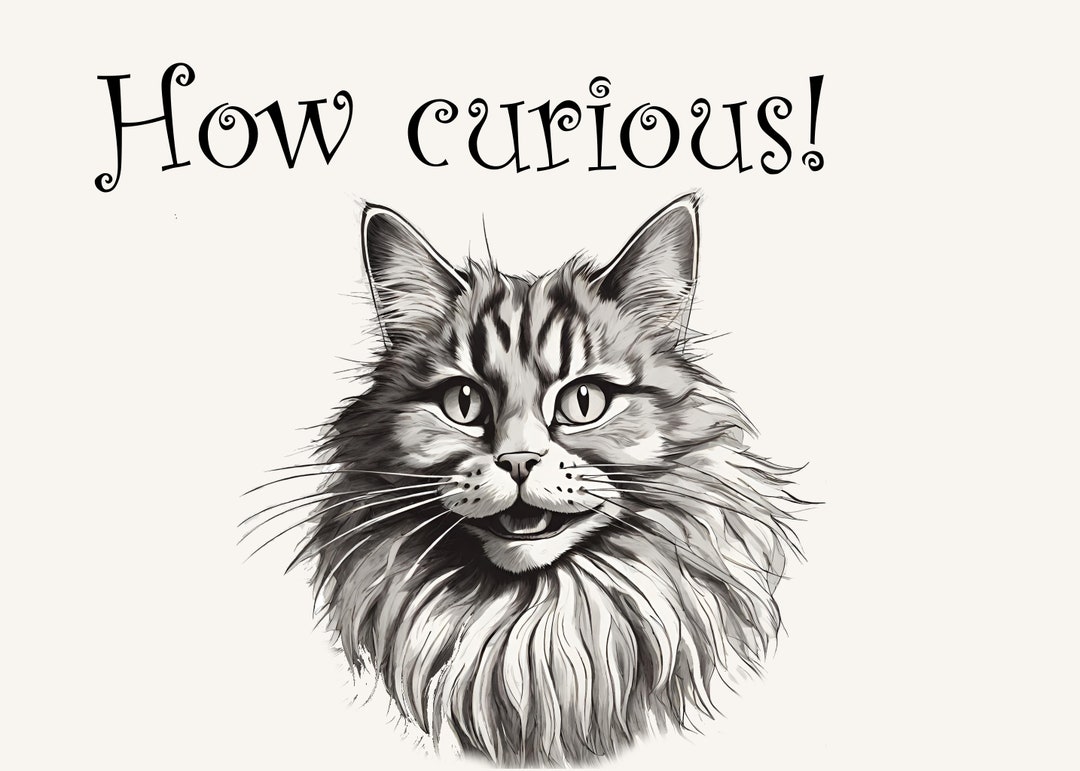 Postcard How Curious With Maine Coon, Gift for Maine Coon Lovers and ...