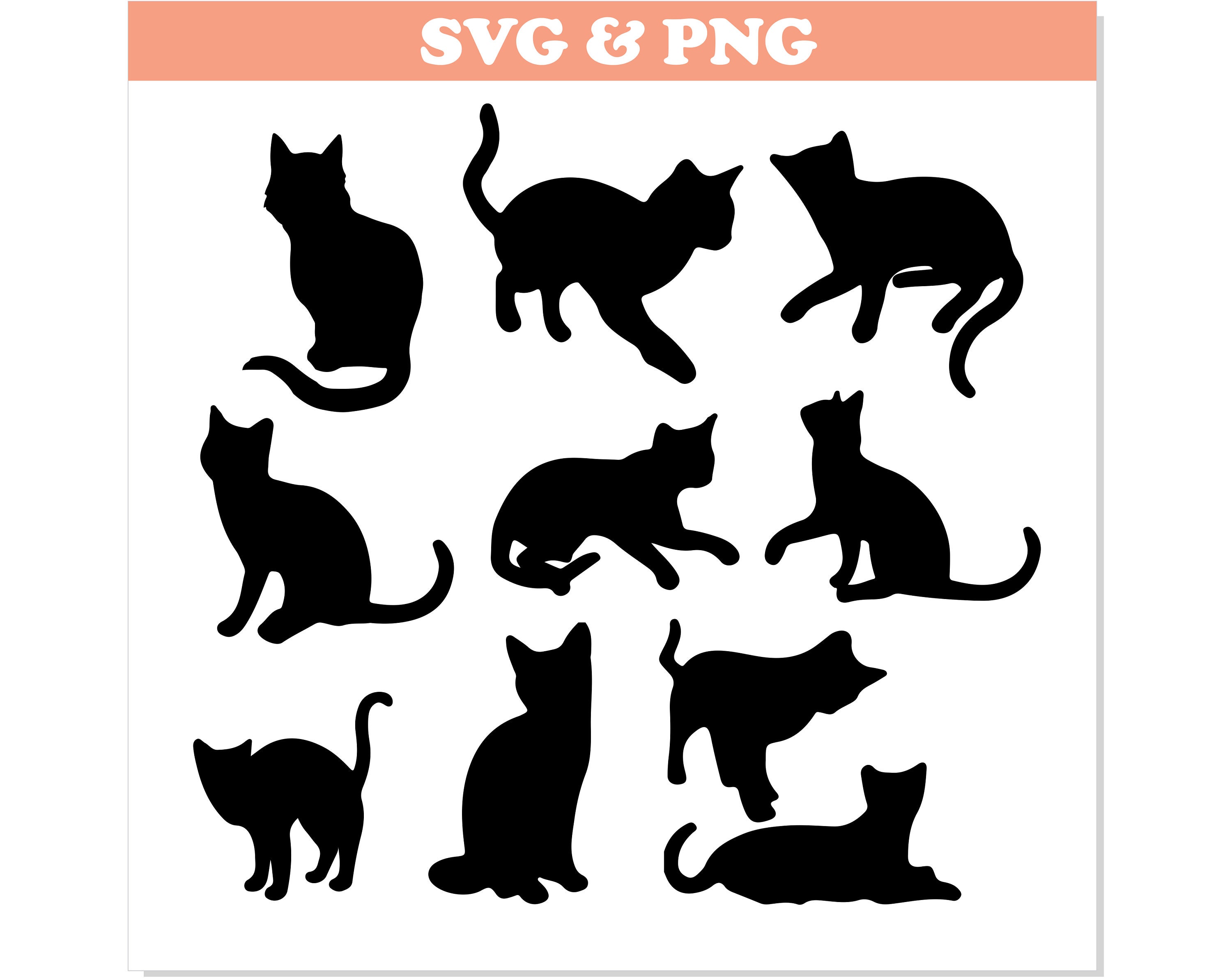 Cat Bundle Cat Font TTF, Cat Svg Png, Cat Font Svg, Cat Kitty Font Otf ...