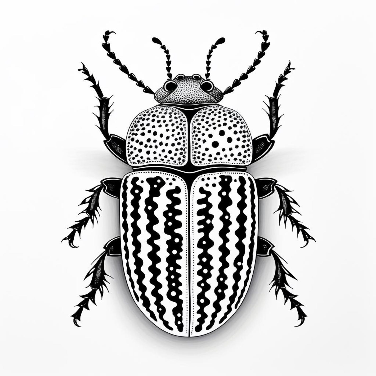 Black and White Beetle Clip Art – Intricate Linocut-style Illustration ...