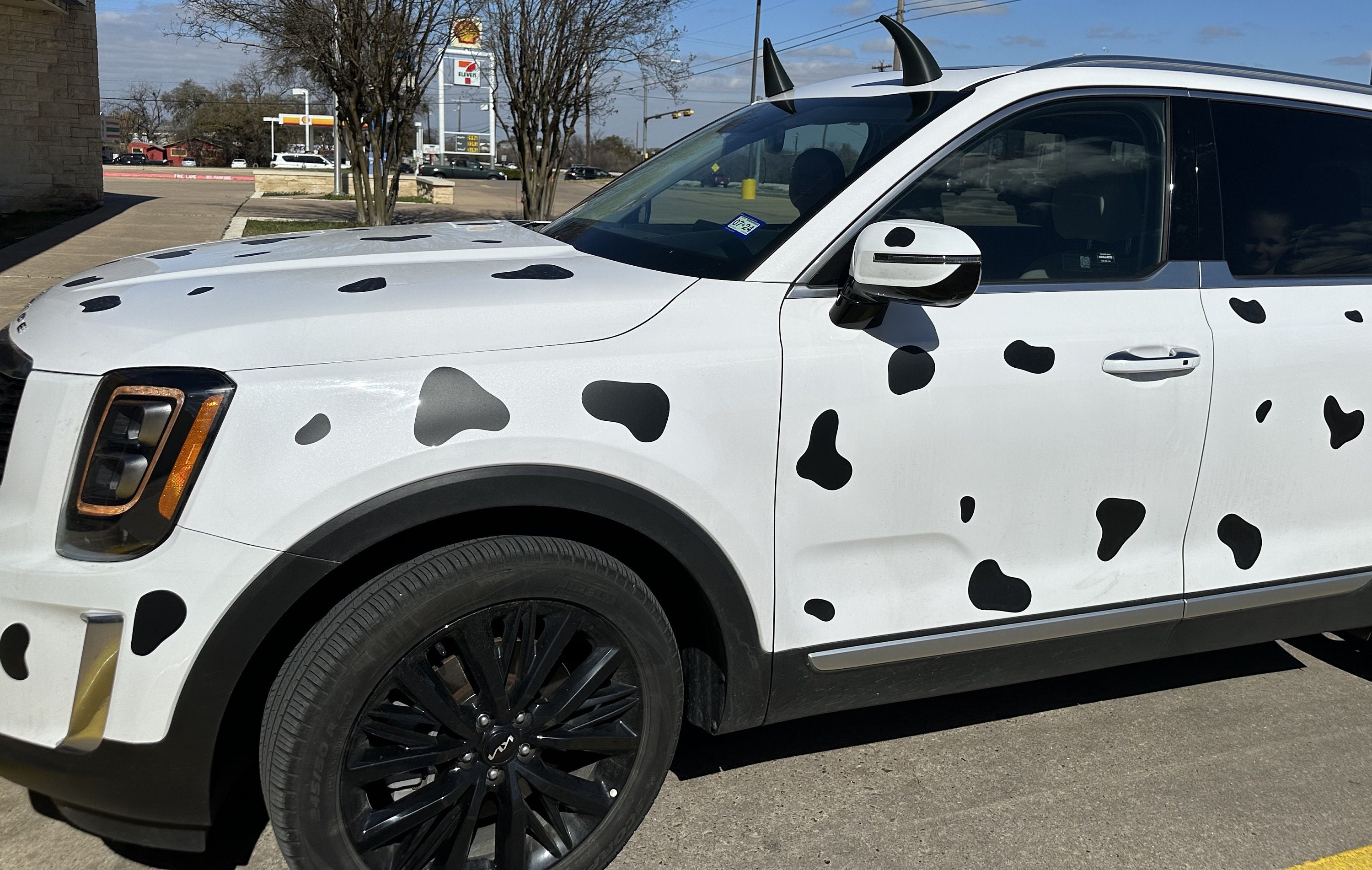 Car Cow Horns - Etsy