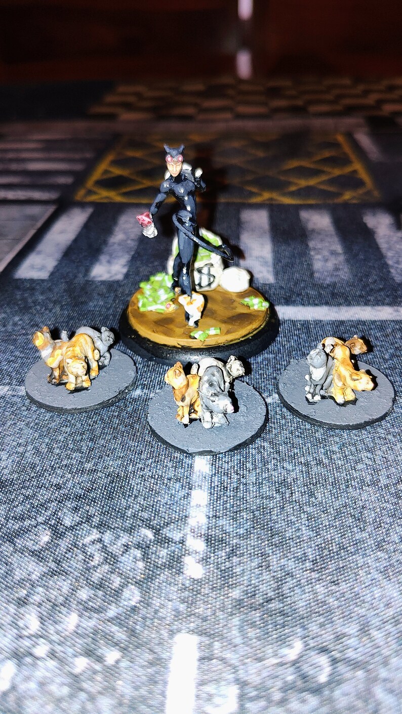 Batman Miniature Game Catwoman Painted - Etsy
