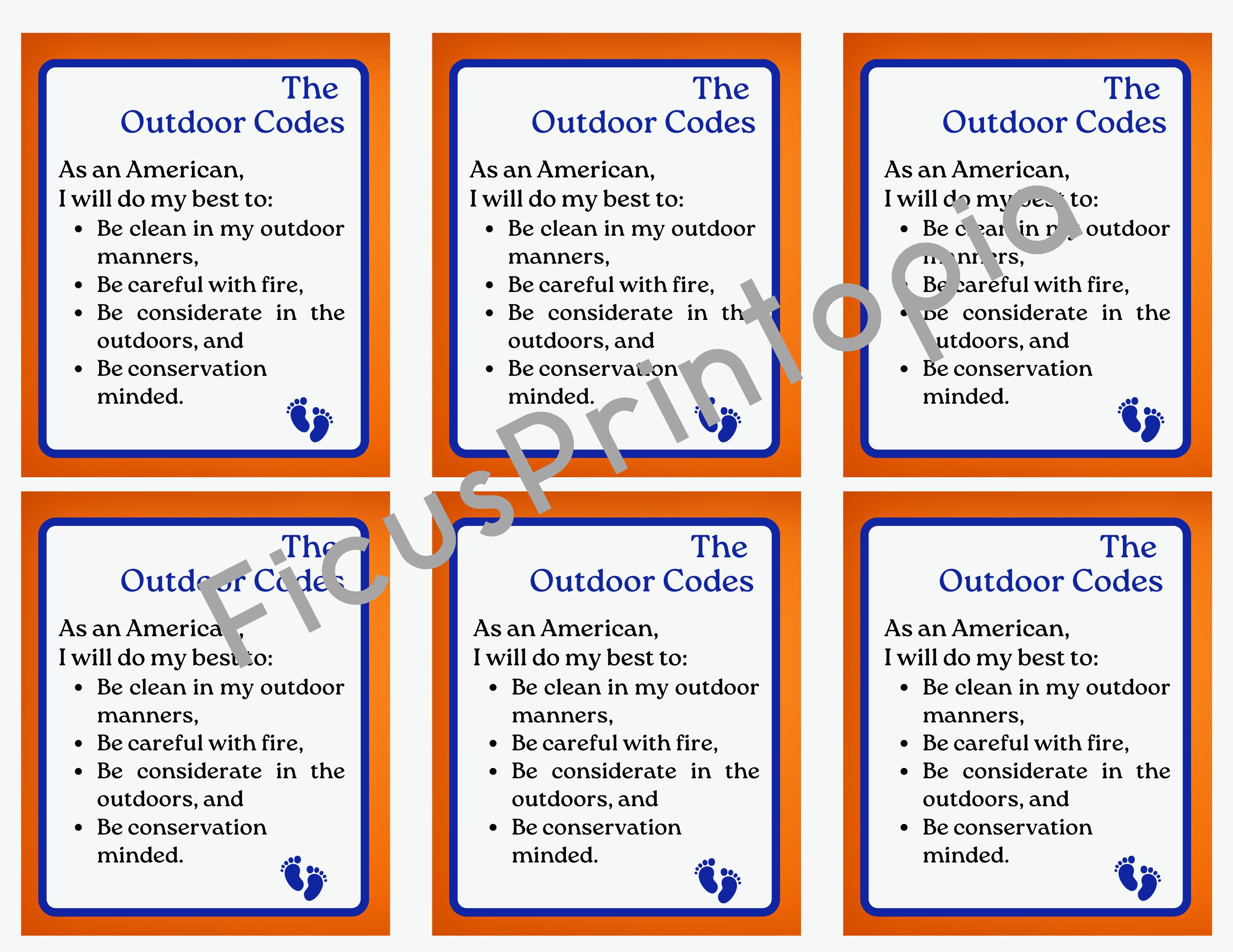 Double-sided Scout Hiking Essentials Pocket Size Flashcards, 6 Copies ...