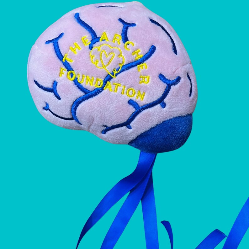 Brain Plush Toy, Fundraiser, Anatomical Brain for Kids, Shunt ...