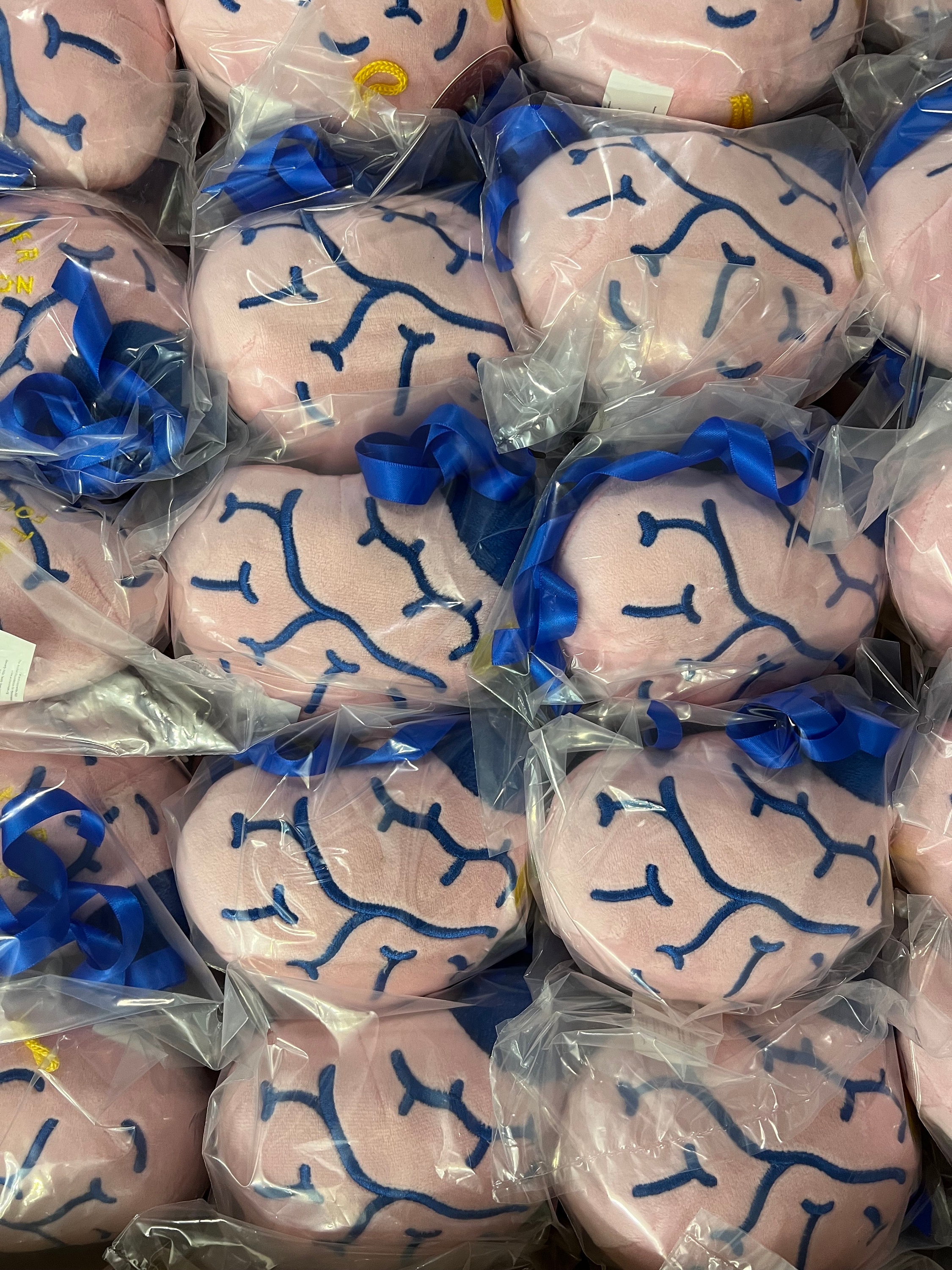 Brain Plush Toy, Fundraiser, Anatomical Brain for Kids, Shunt ...