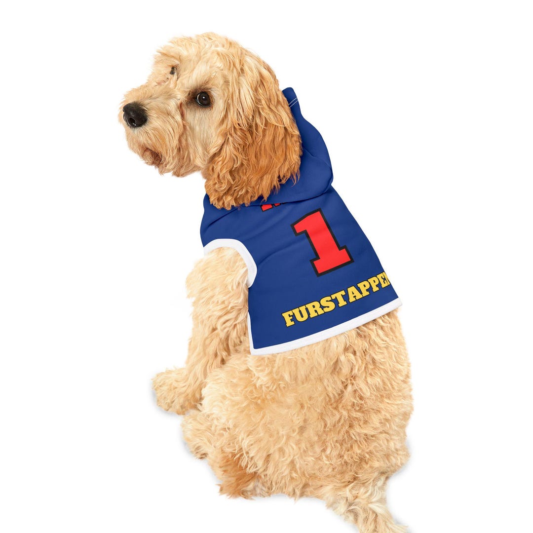 F1 Pet Hoodie, Max Verstappen Dog Hoodie, F1 Gift, F1 for Pets Racing ...