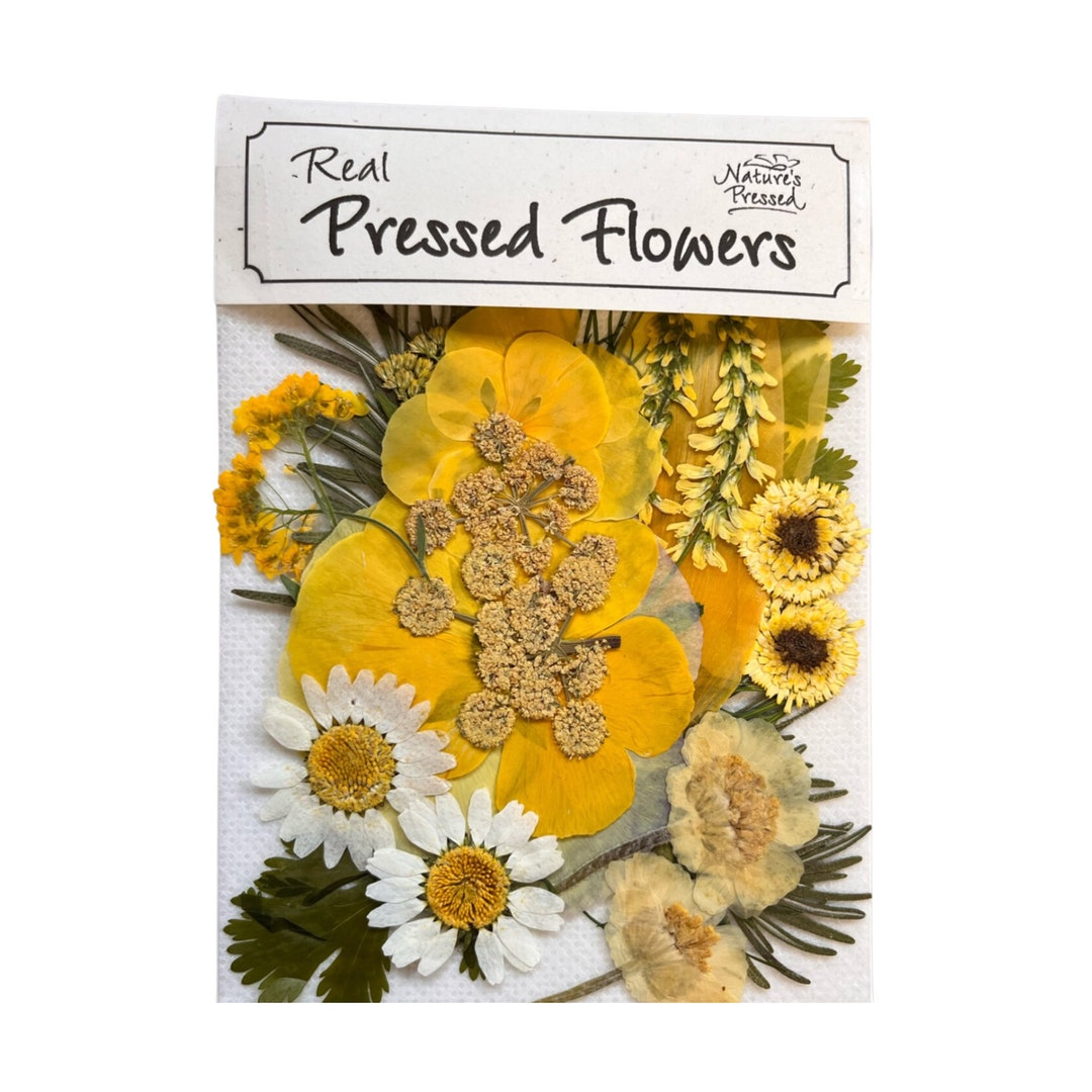 Edible Pressed Flower Mix - Yellow Flowers/herbs for Baking, Cookies ...