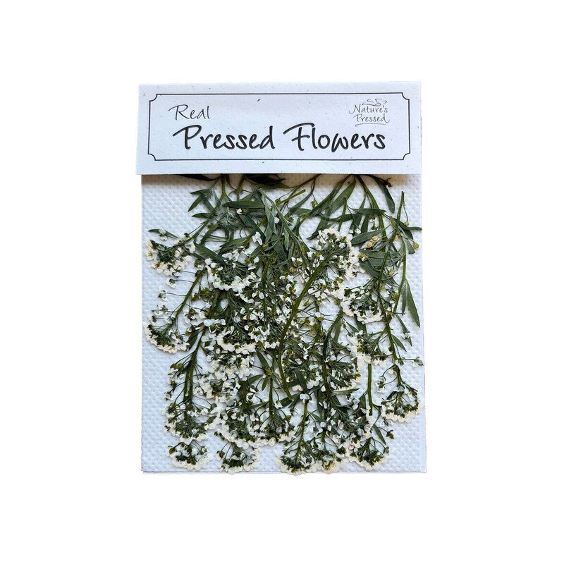 White Flowers - Etsy - Page 2