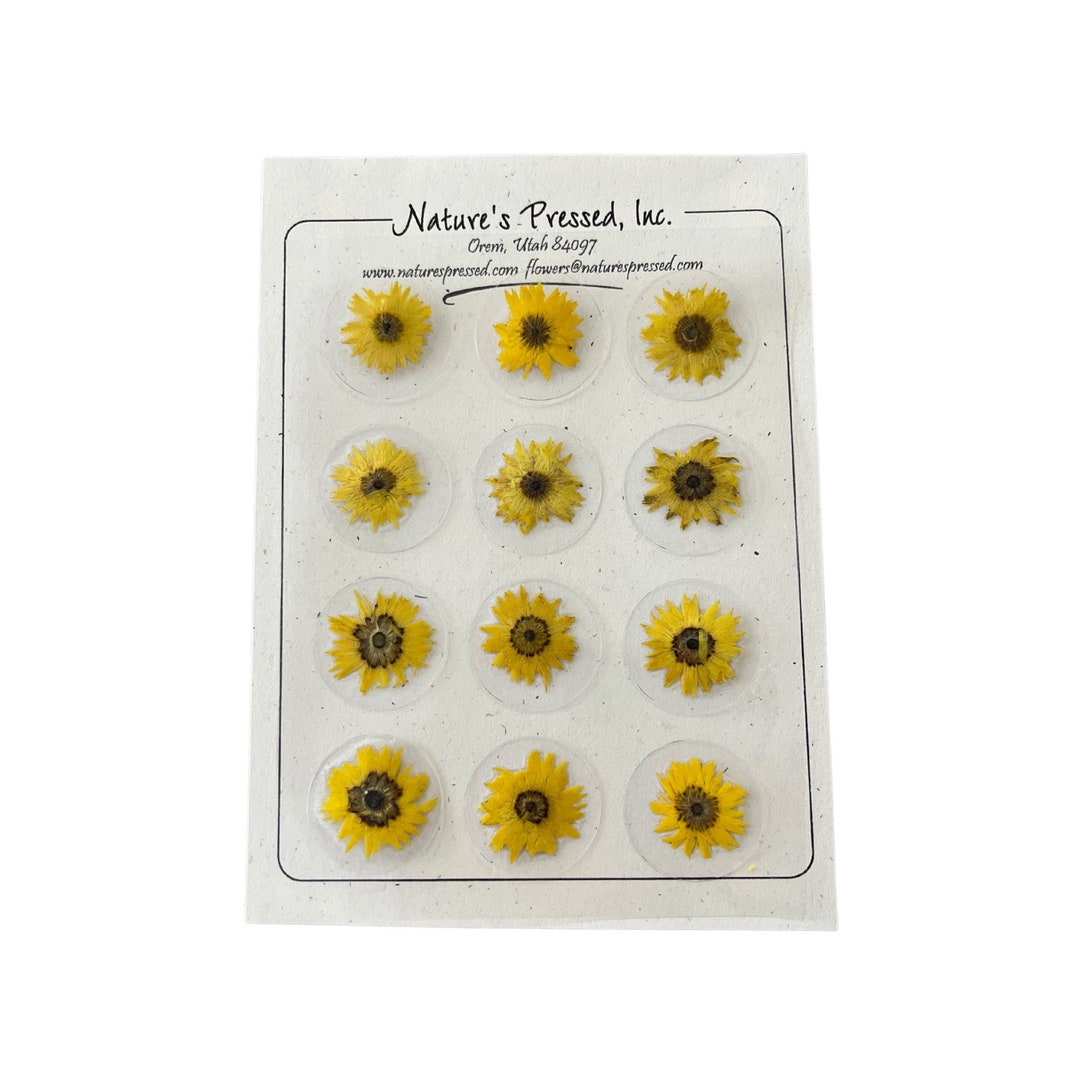 Stickers Sunflowers 1 Pack of 12 Stickers - Etsy