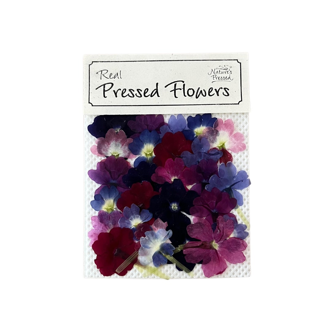 Verbena Assorted (natural, Edible) 25 Flowers - Etsy