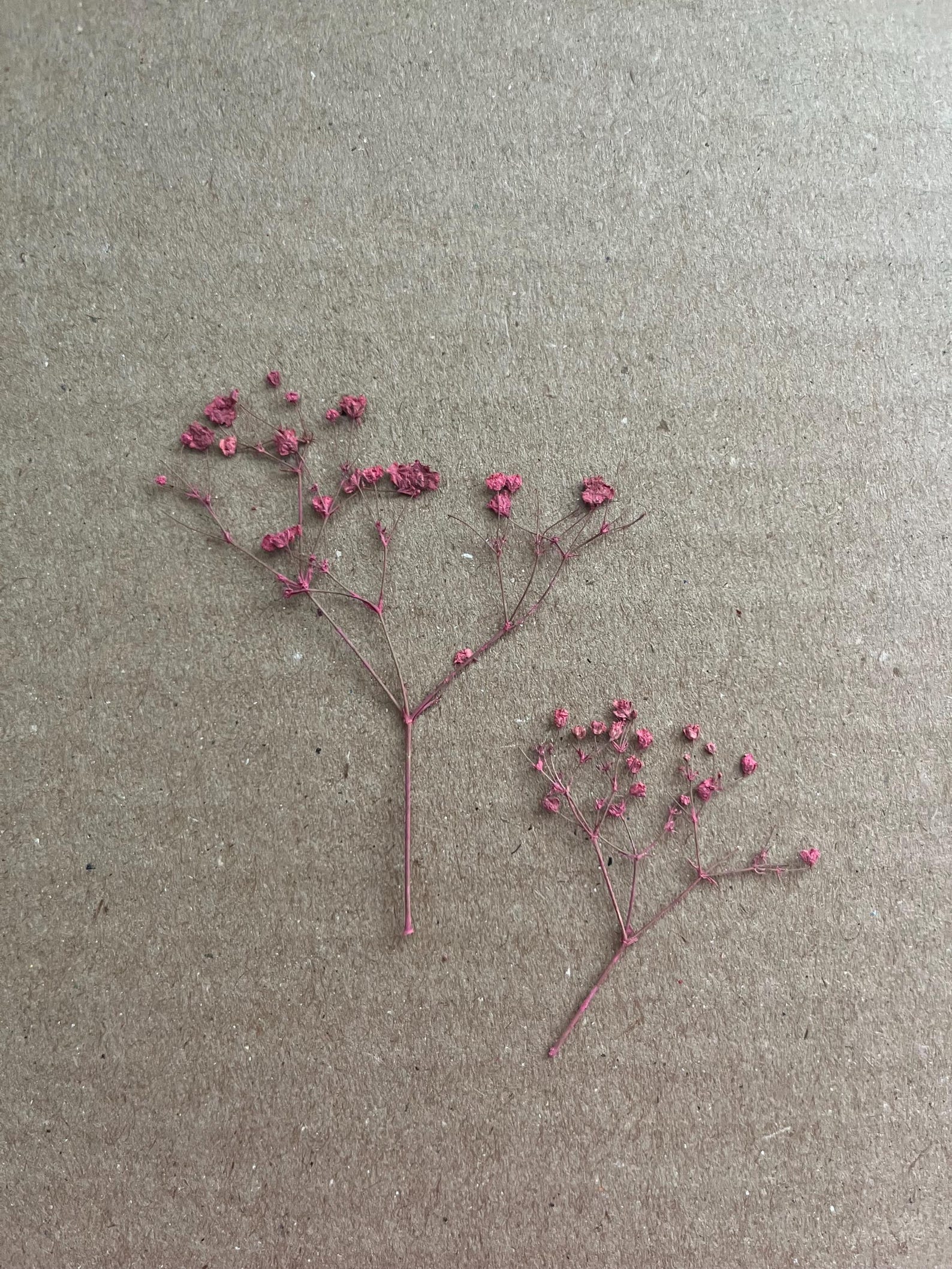 Pink Blush Mega Pack 100 Flowers (flowers May Vary) - Etsy