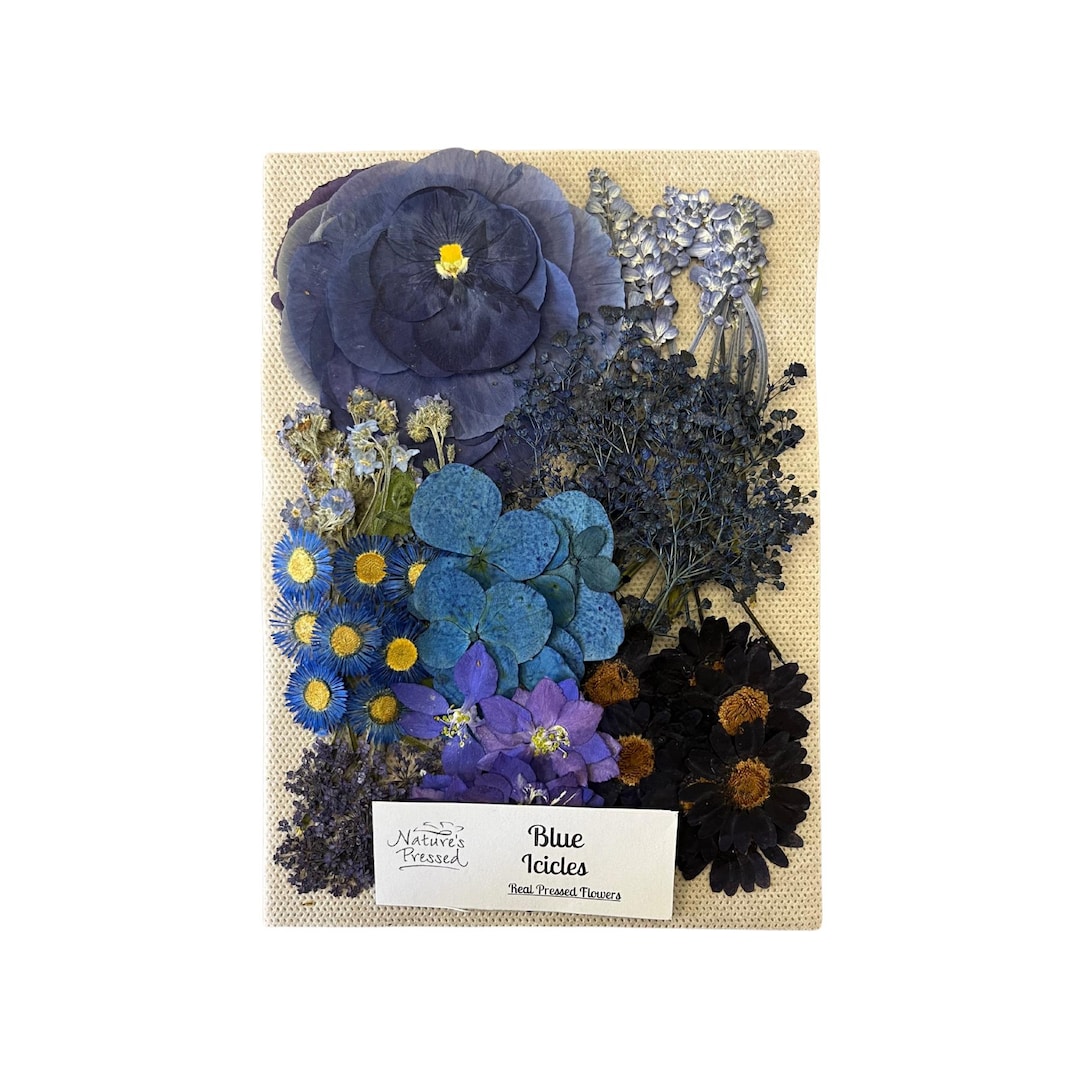 Blue Icicles Mega Pack 100 Flowers (flowers May Vary) - Etsy