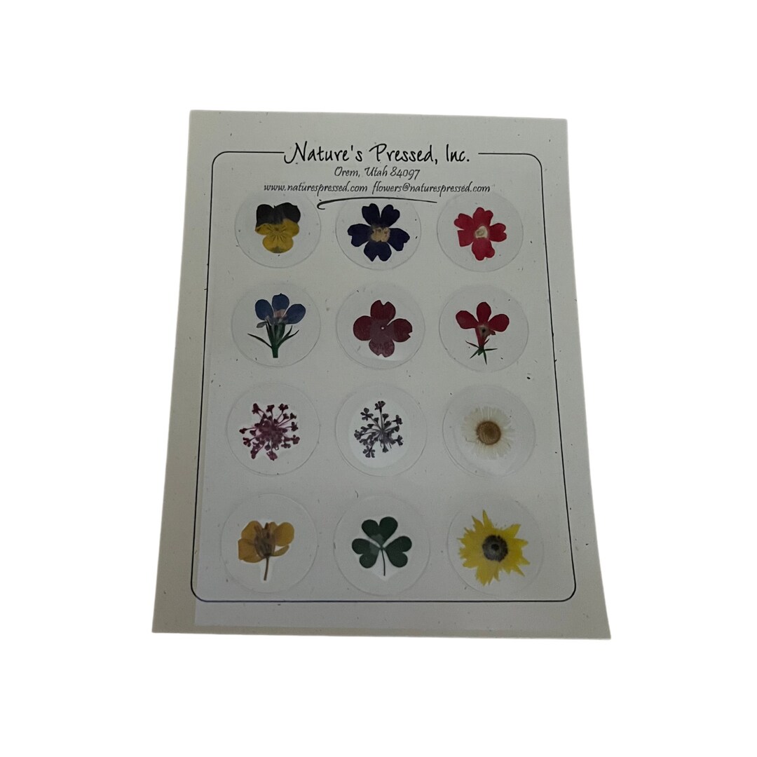 Stickers Assorted Flowers 1 Pack of 12 Stickers - Etsy