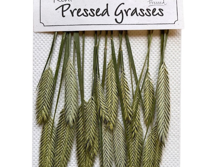 Maygrass 18 Pieces - Etsy