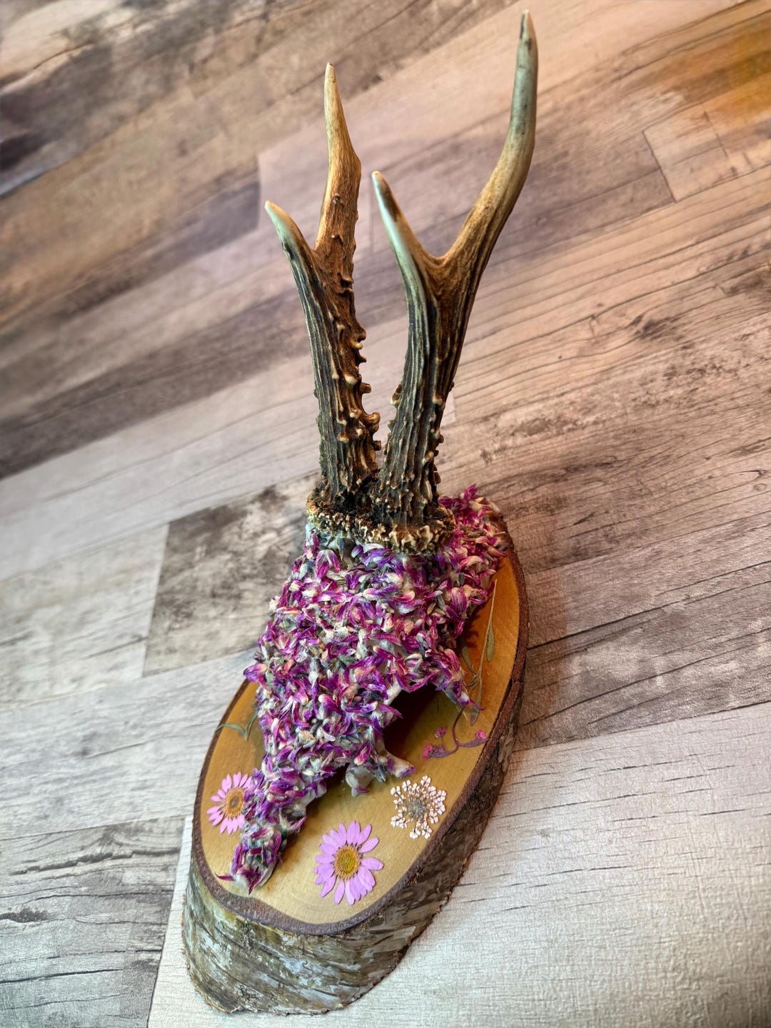 Dried Flowers Decorated Deer Skull Wall Decor Responsibly Sourced Pink ...