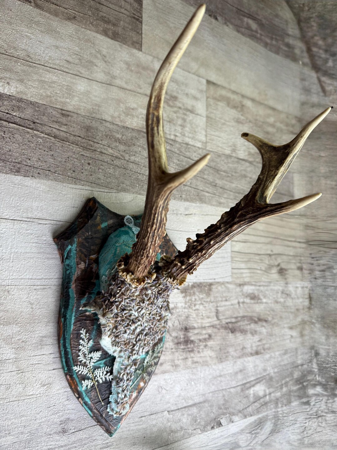 Dried Flowers Decorated Deer Skull Wall Decor Responsibly Sourced Blue ...