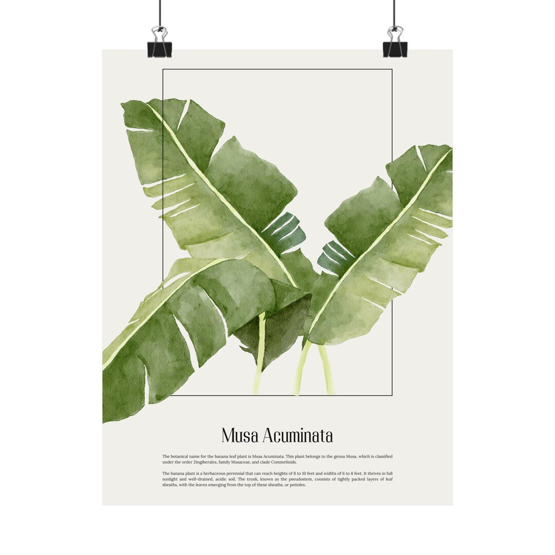 Boho Banana Leaf Matte Vertical Poster Minimalist Art Print, Botanical ...