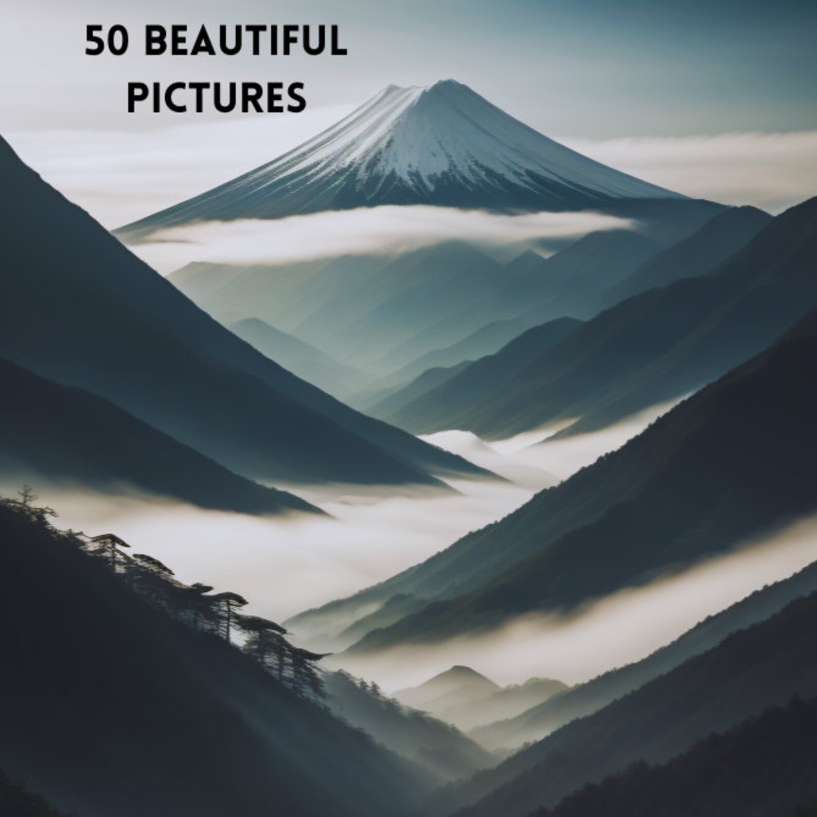 50 Beautiful Animated Pictures - Etsy