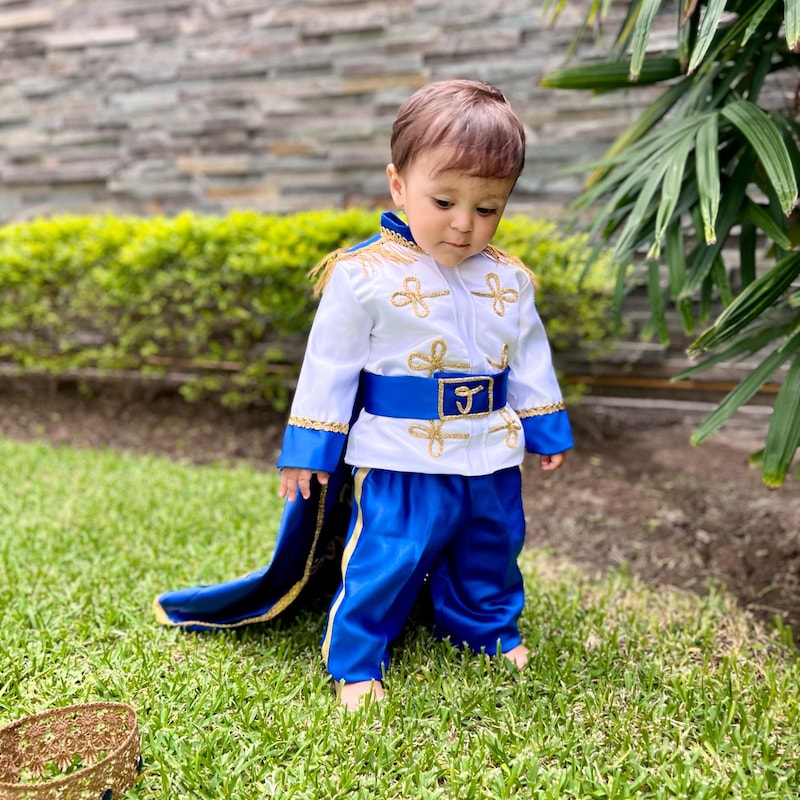 Prince Charming Costume - Etsy