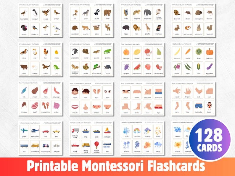 128 Printable Vocabulary Flashcards for Kids | Animals, Food, Body ...