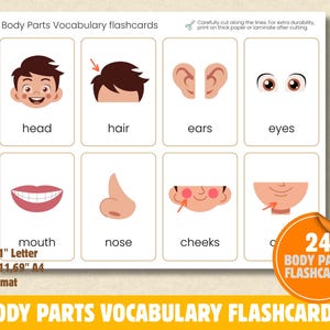 Montessori Body Parts Vocabulary Flashcards – 24 Printable ESL Cards ...