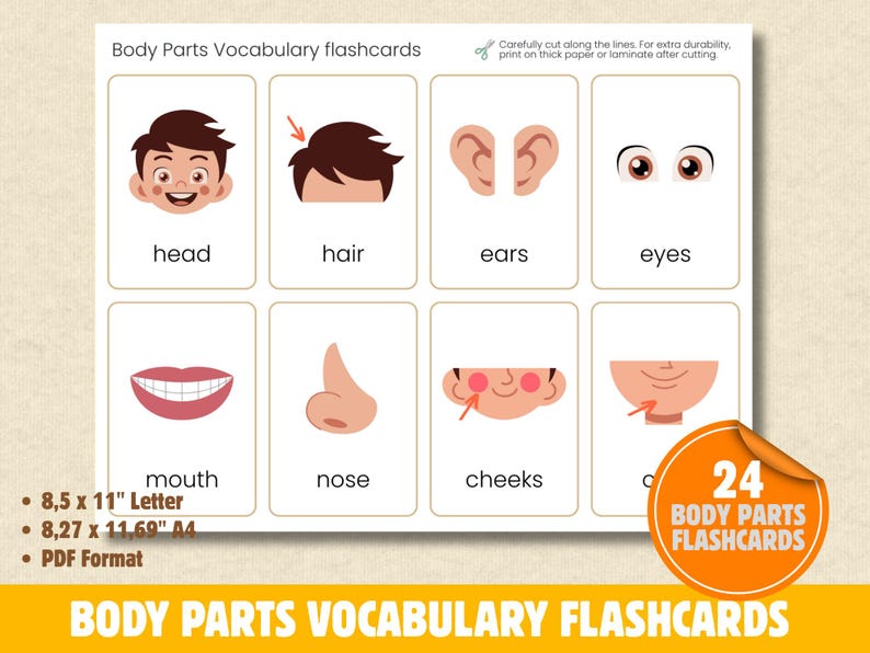 Montessori Body Parts Vocabulary Flashcards – 24 Printable ESL Cards ...