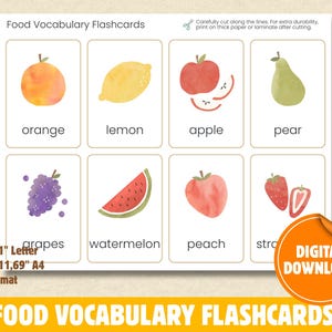 Montessori Food Vocabulary Flashcards for Kids – Printable PDF in A4 ...