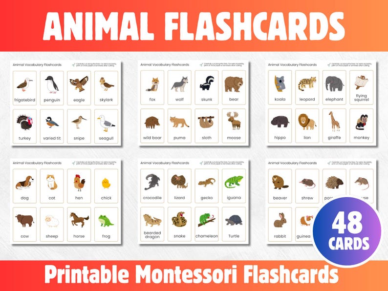 128 Printable Vocabulary Flashcards for Kids | Animals, Food, Body ...