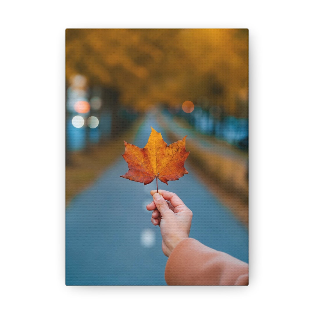 Autumn's Embrace: Handheld Serenity, Maple Leaf Canvas Print, Nature ...