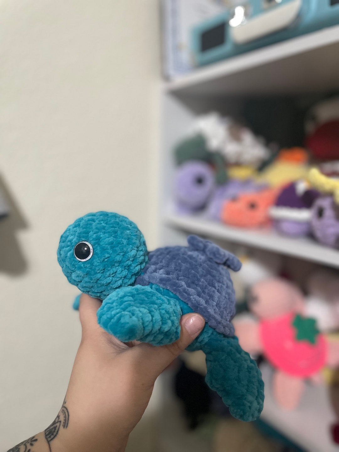 Mini Blueberry Turtle - Etsy